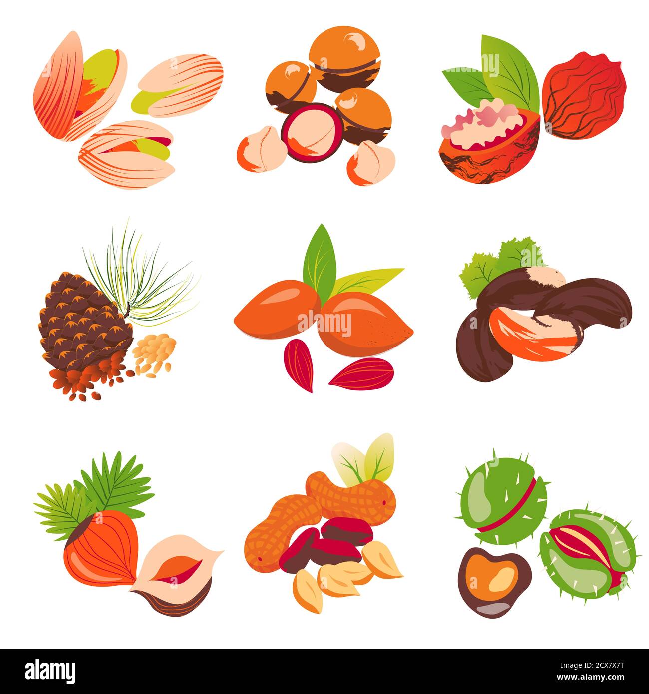 Almond isolated on white Stock Vector Images - Alamy