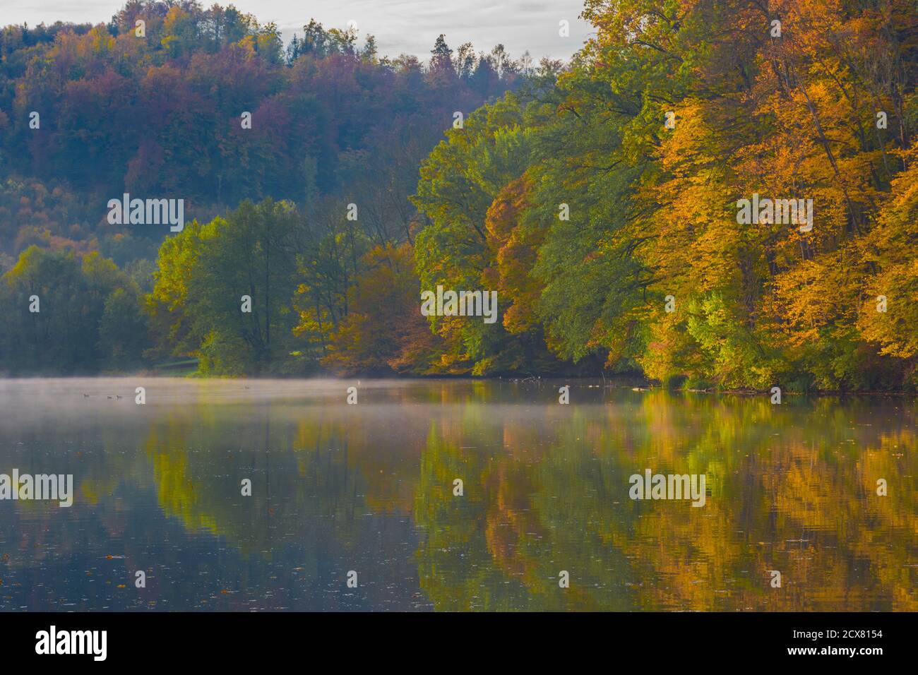 Autumn morning at lake Thal near Graz, Styria region, Austria Stock ...