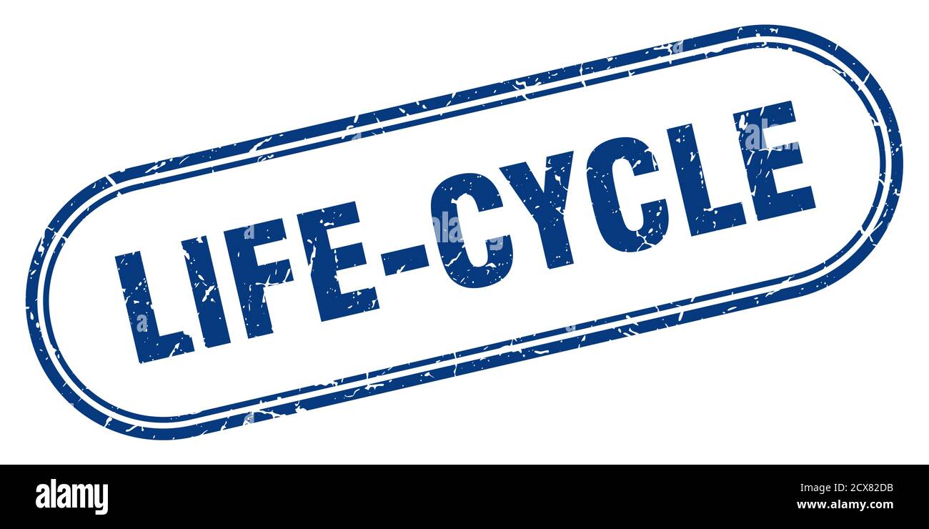 life-cycle stamp. rounded grunge sign on white background Stock Vector ...