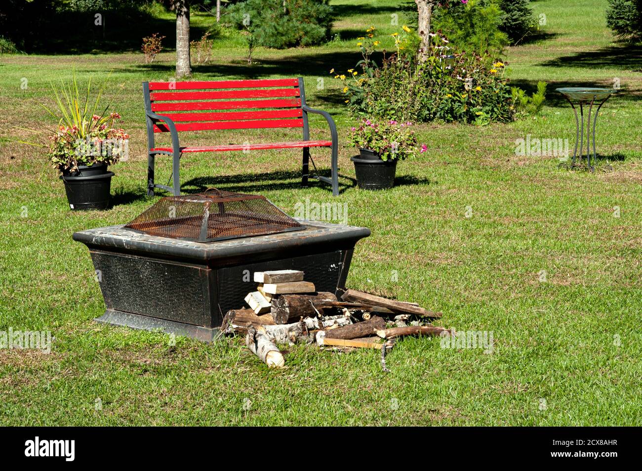 Pear tree pot hi-res stock photography and images - Alamy