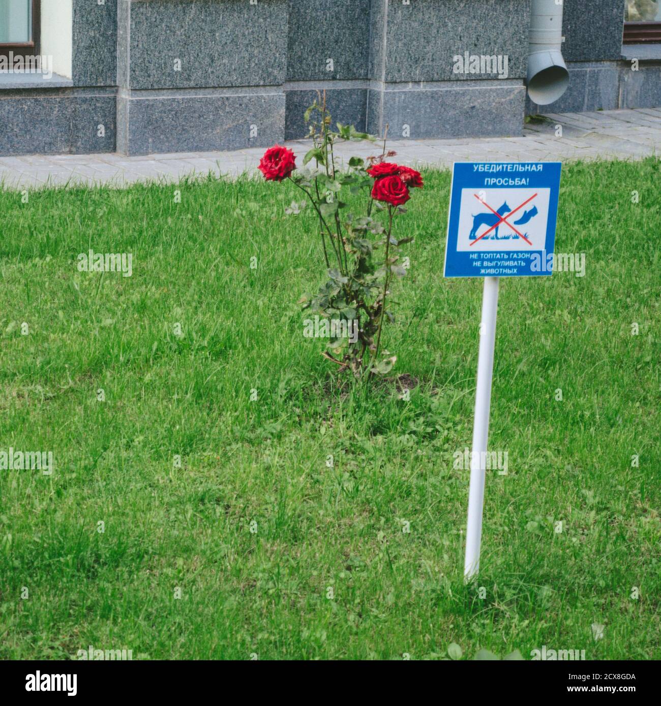Dog litter warning sign hi-res stock photography and images - Alamy