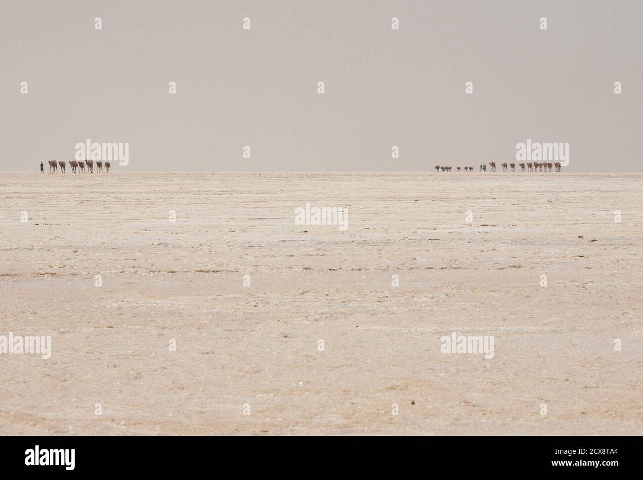 Harshest environments hi-res stock photography and images - Alamy