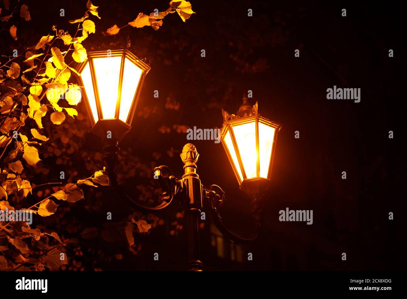beautiful glowing street lamp in the park at night Stock Photo - Alamy