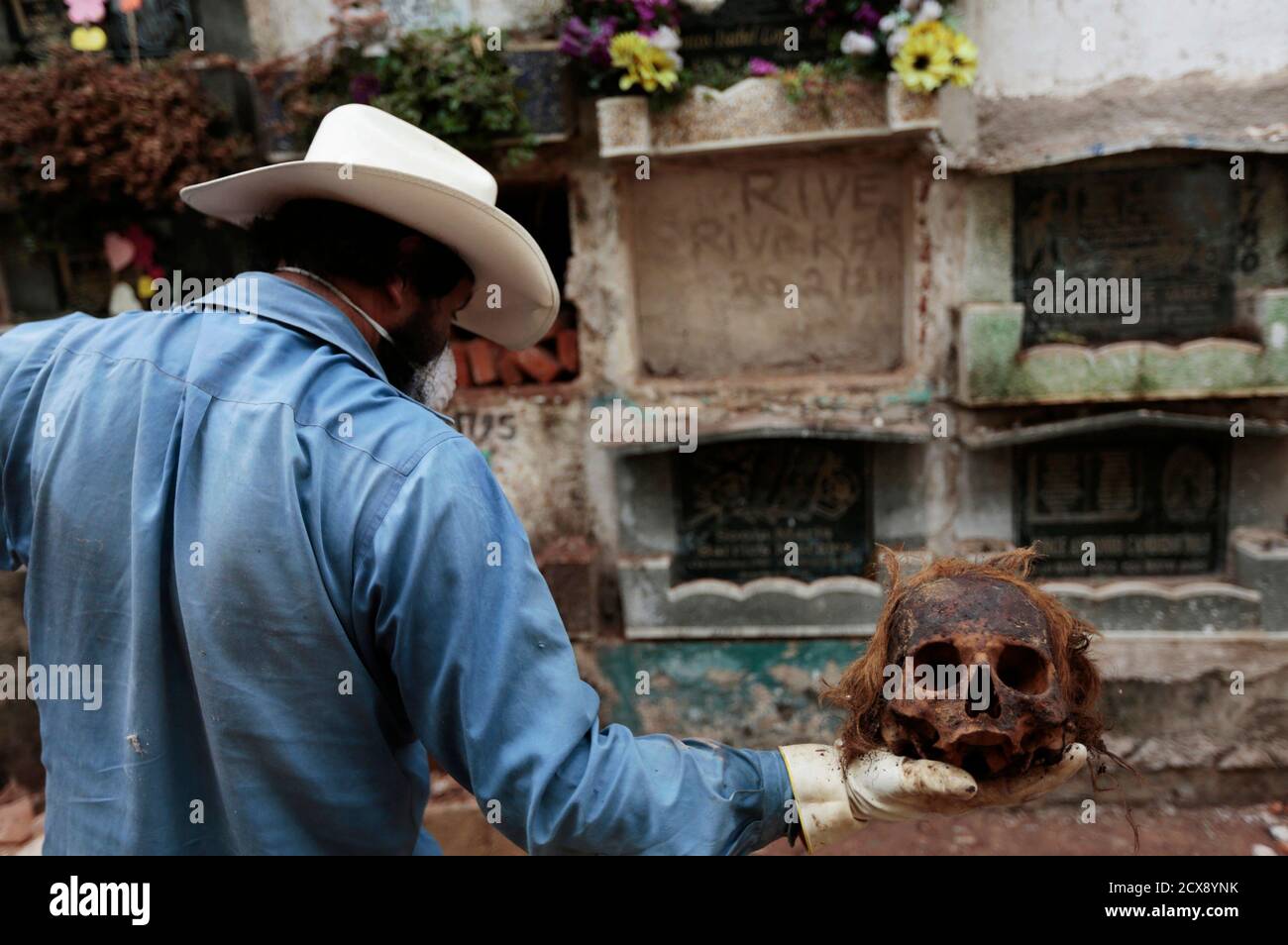 Picture skull animals hi-res stock photography and images - Alamy