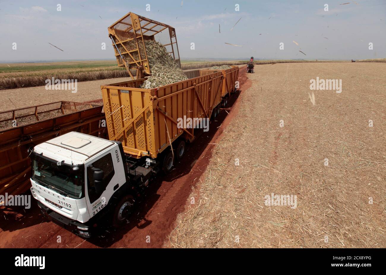 Truck loaded sugar cane field hi-res stock photography and images - Alamy