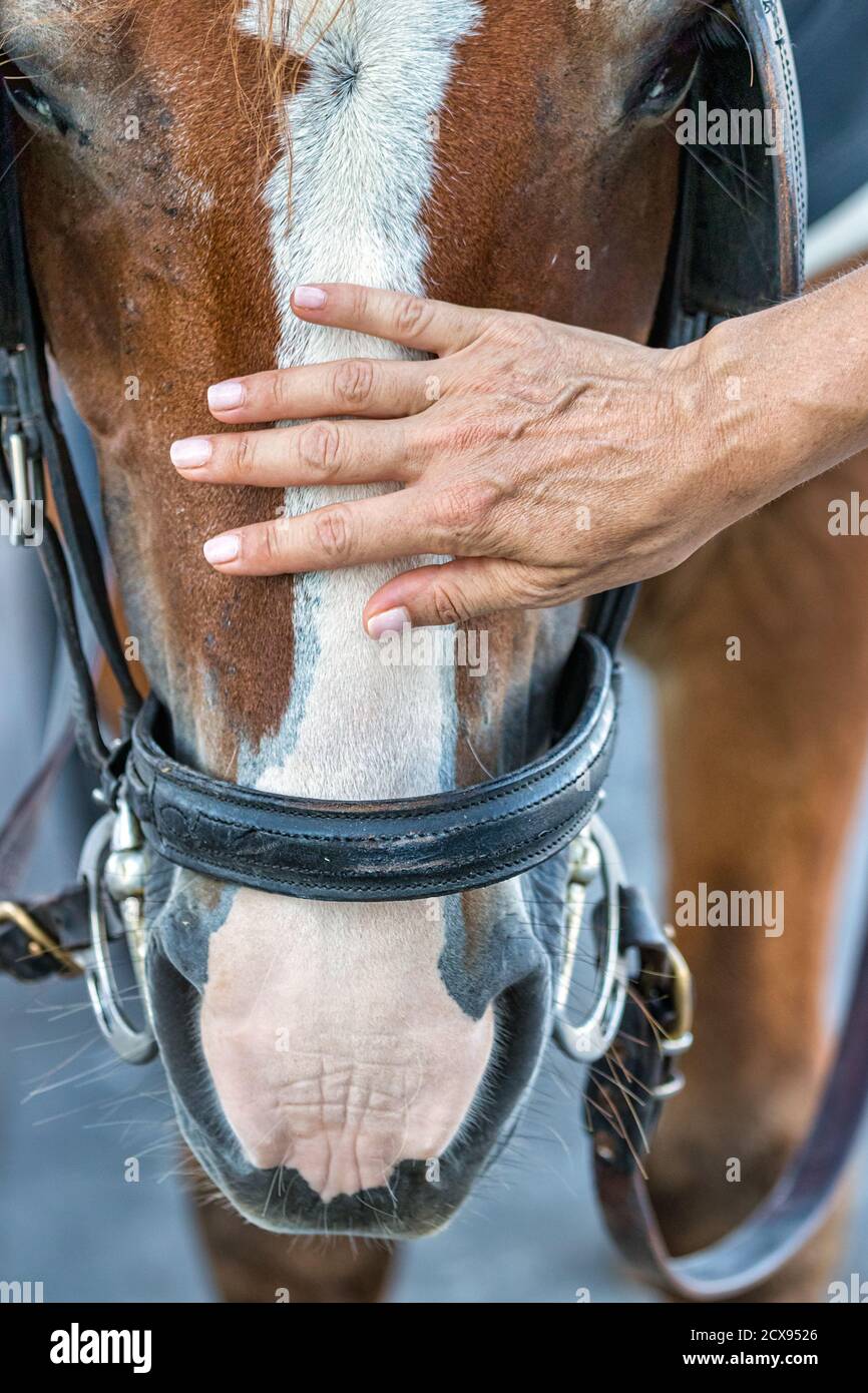 Hand and head hi-res stock photography and images - Alamy