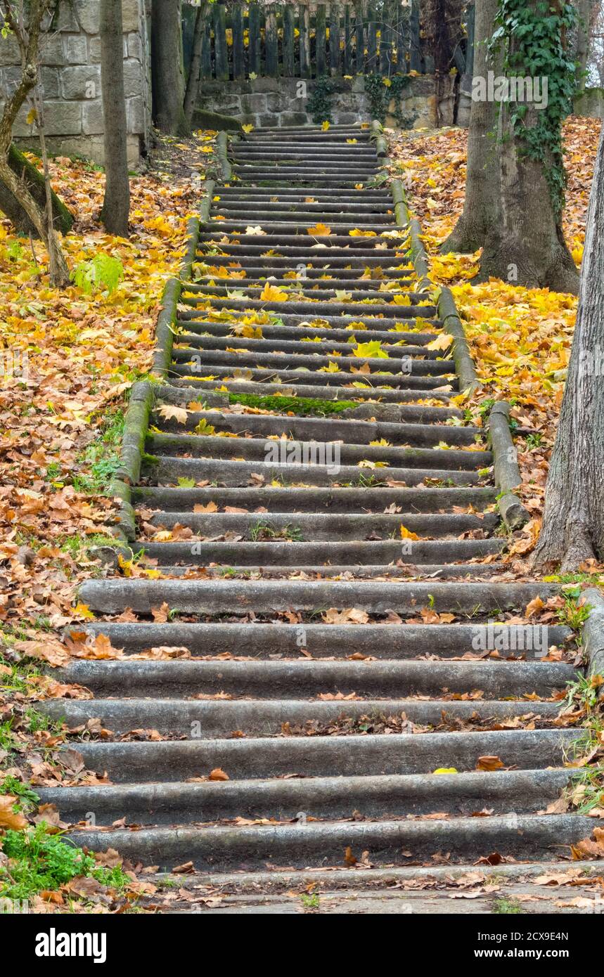 Stone steps and fall leaves hi-res stock photography and images - Alamy
