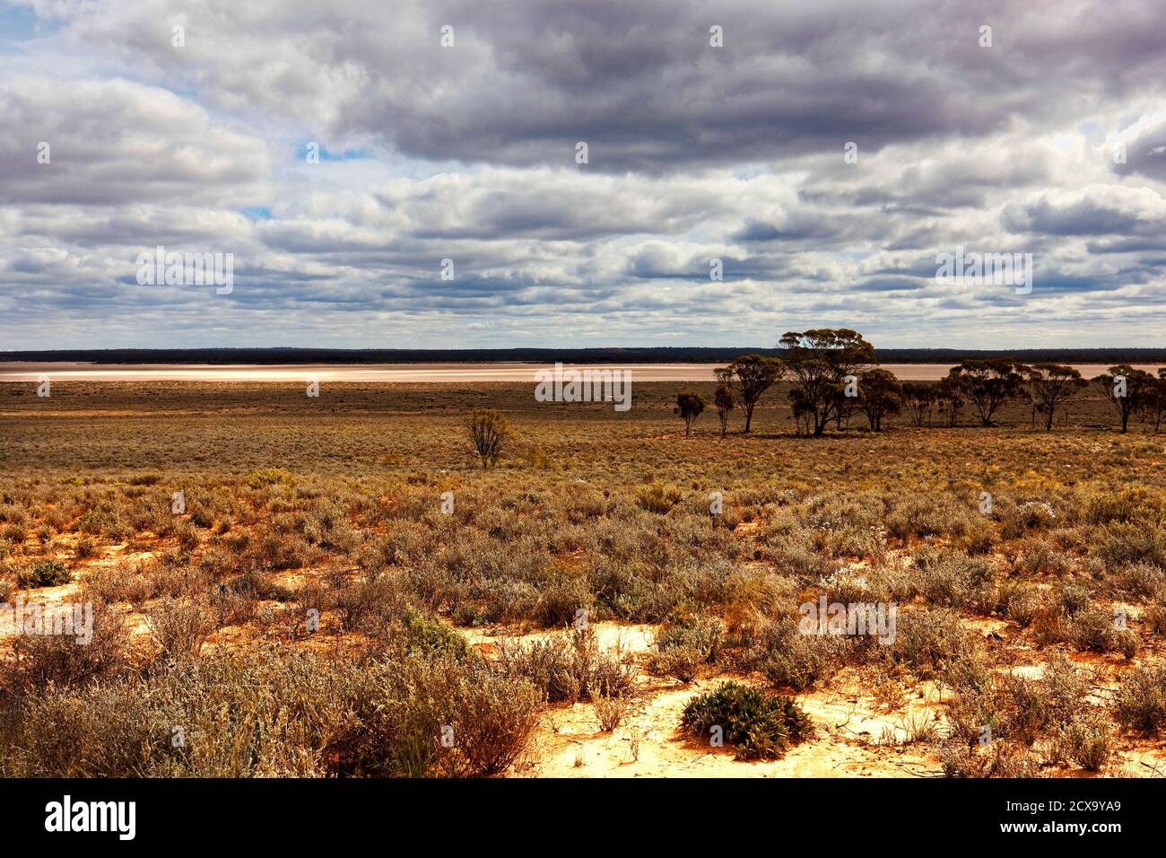 Lake Johnson, Goldfields,Esperance Region, Western Australia Stock Photo - Alamy