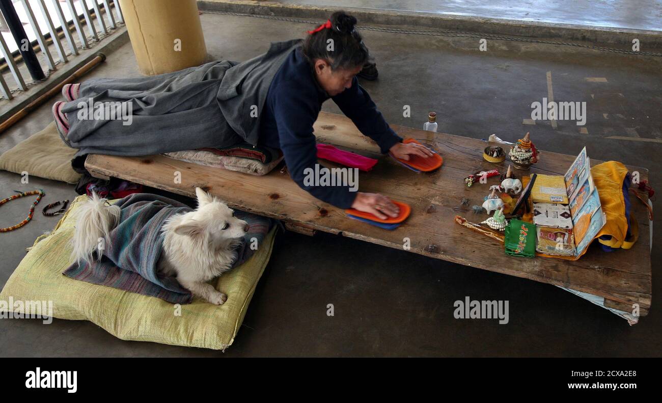 Tibetan temple dog hi-res stock photography and images - Alamy