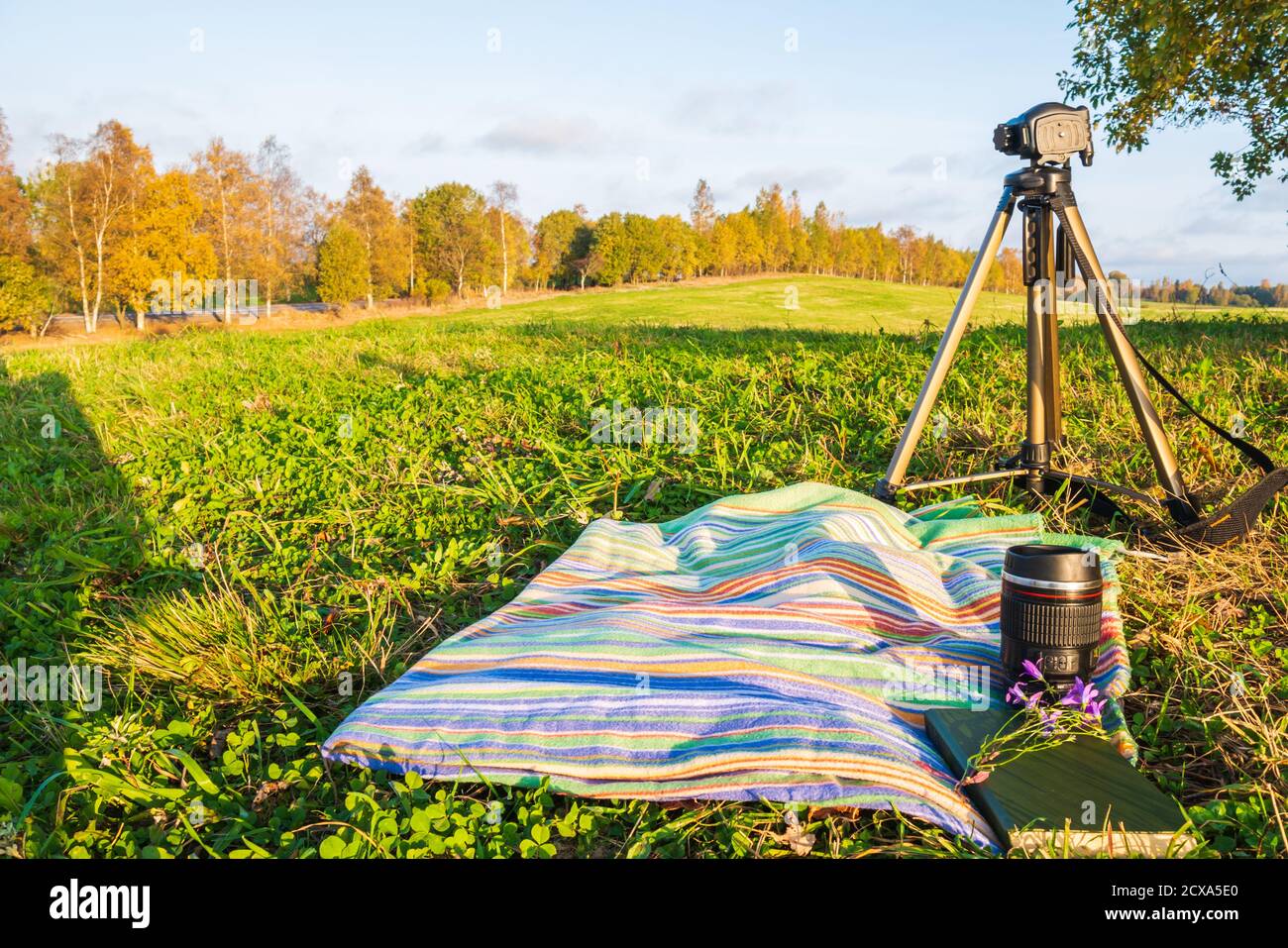 Rest in nature, thermos, book, green nature Stock Photo - Alamy