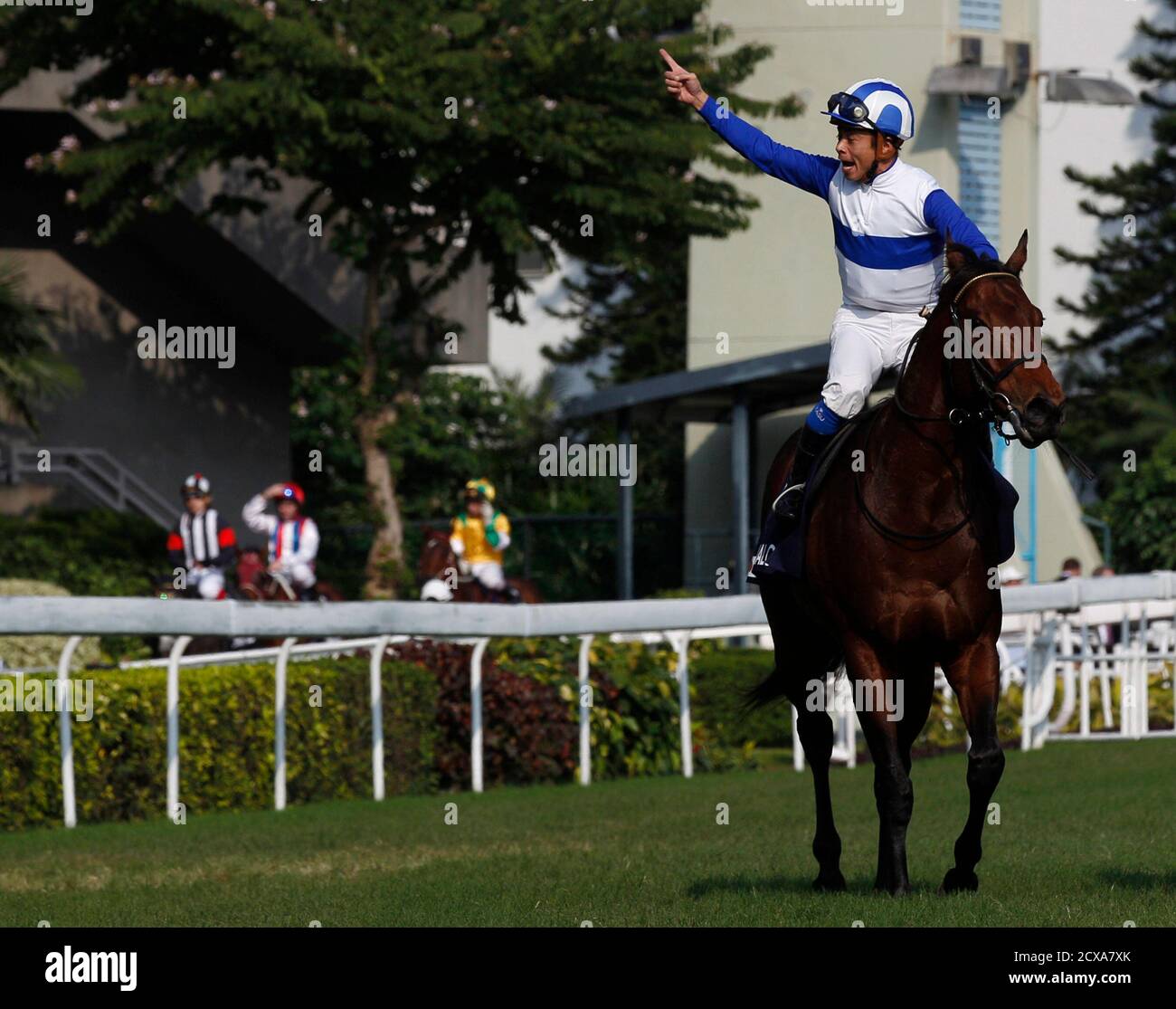 Japanese horse race hi-res stock photography and images - Alamy