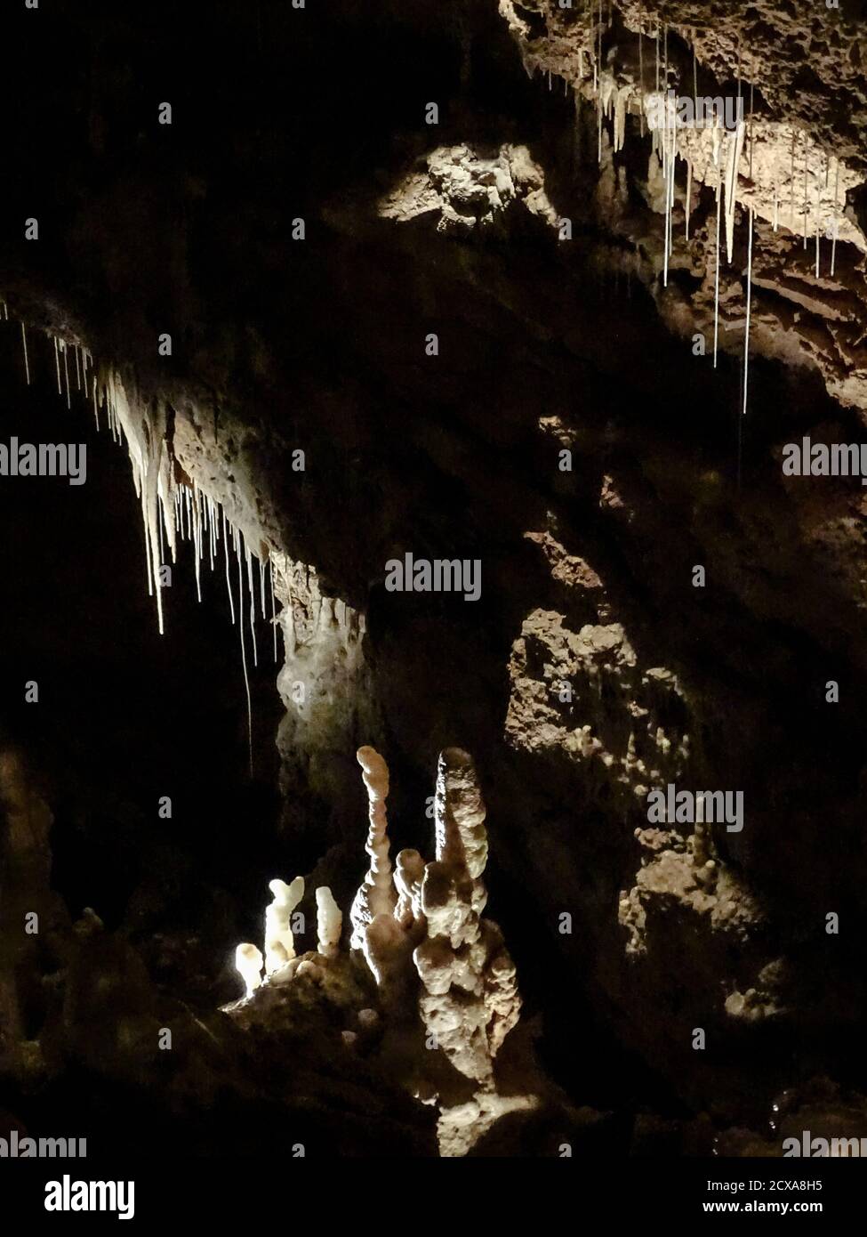 Natural bridge caverns san antonio hi-res stock photography and images ...