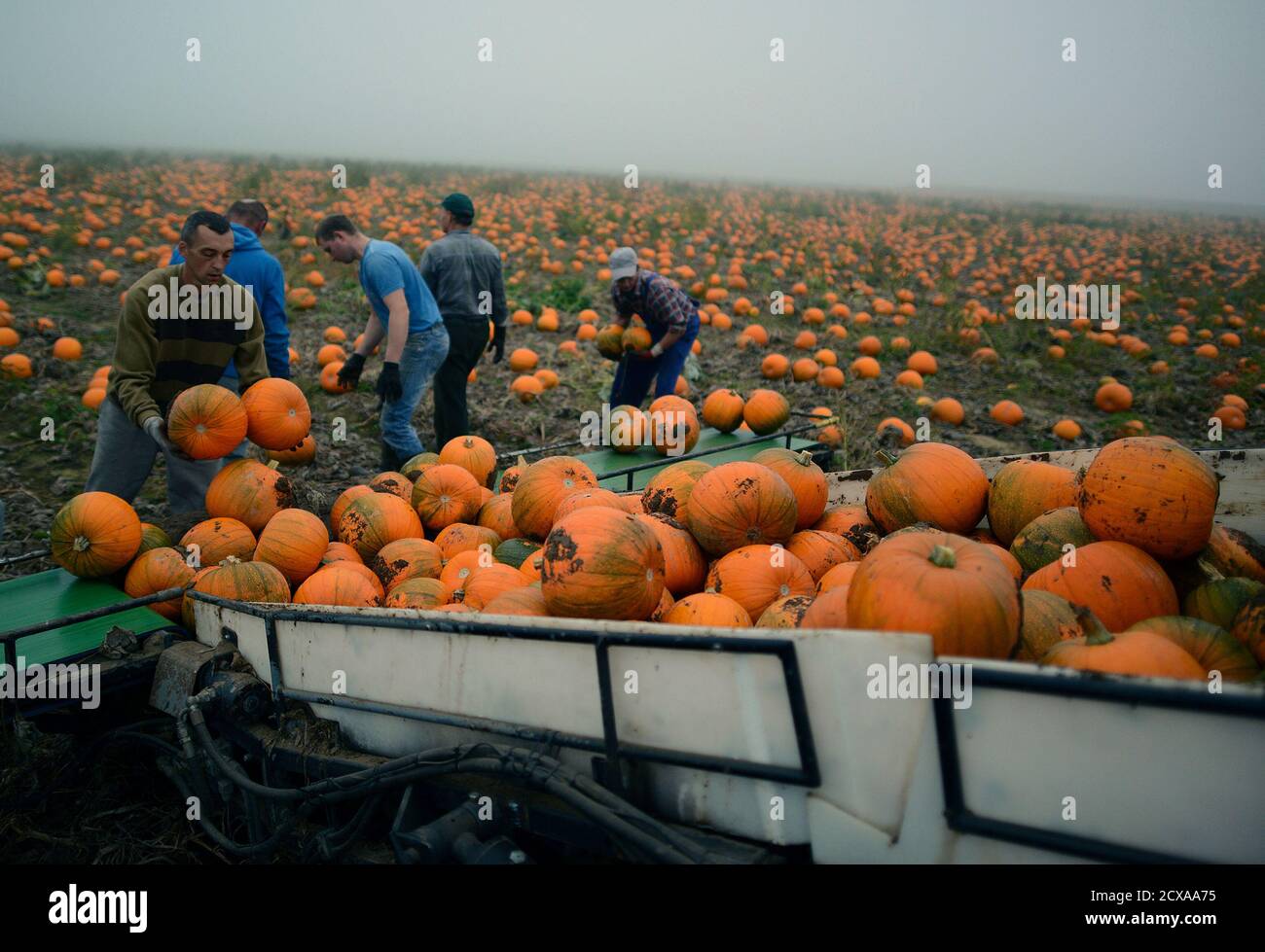 25 Acre Farm High Resolution Stock Photography and Images - Alamy