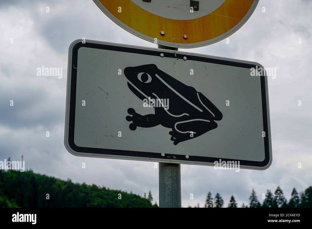 A frog crossing hi-res stock photography and images - Alamy