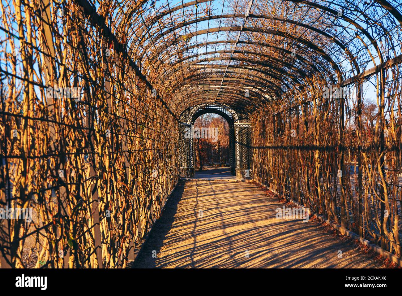 natural arched alley in the park Stock Photo - Alamy