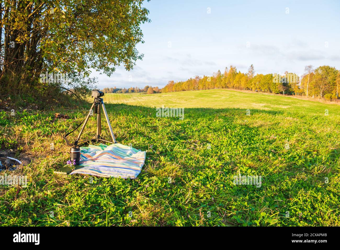 Rest in nature, thermos, book, green nature Stock Photo - Alamy