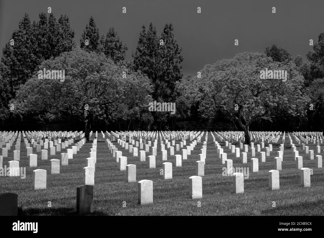 Cemetery at night with Tombstones Stock Photo - Alamy