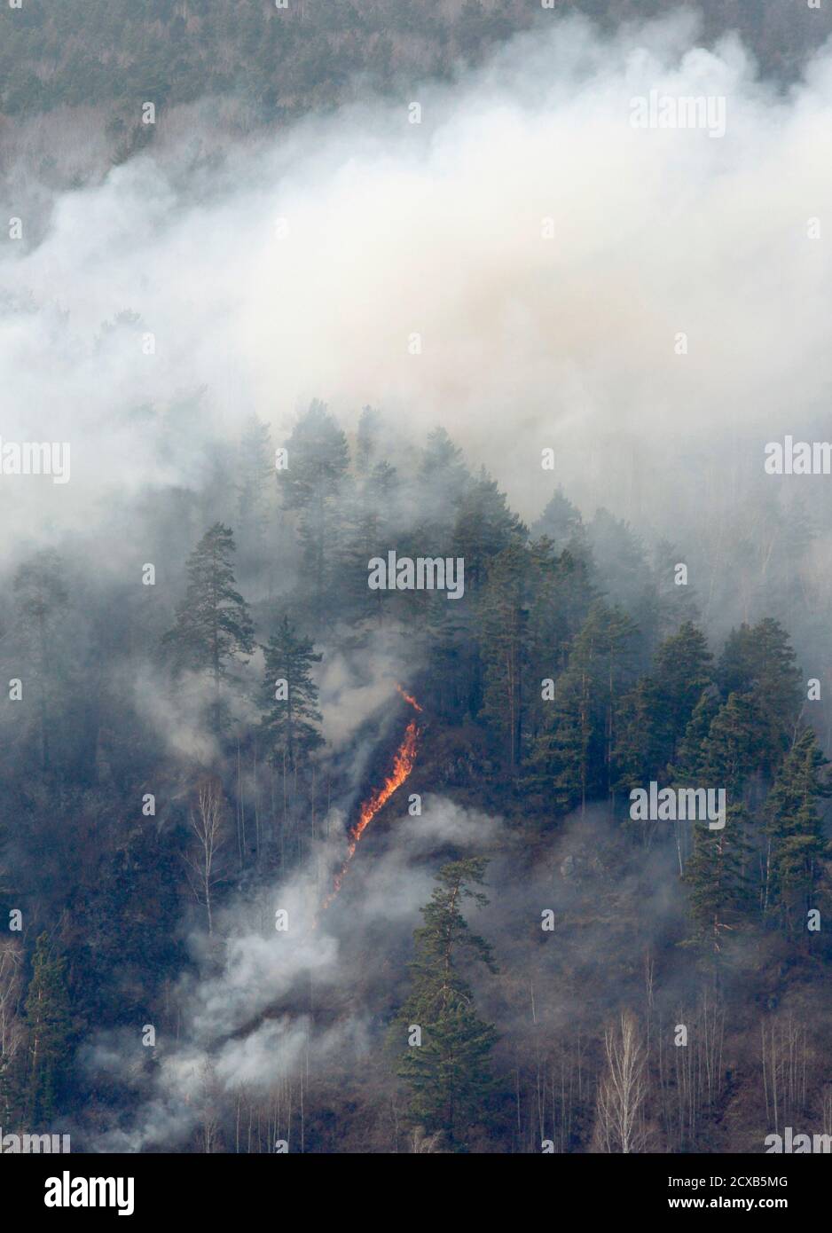 Taiga forest fires hi-res stock photography and images - Alamy