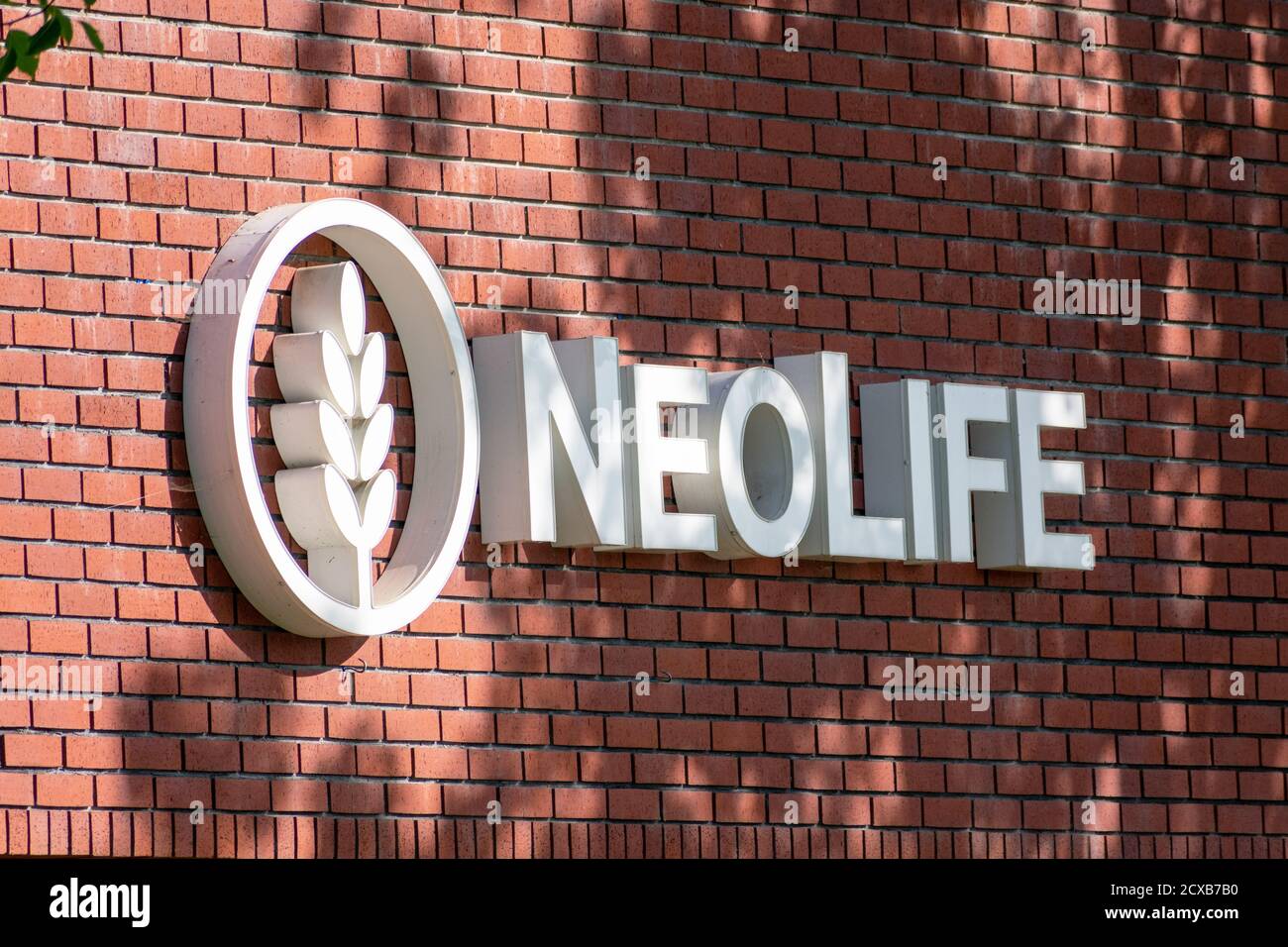 Wellness Logo Design High Resolution Stock Photography and Images - Alamy