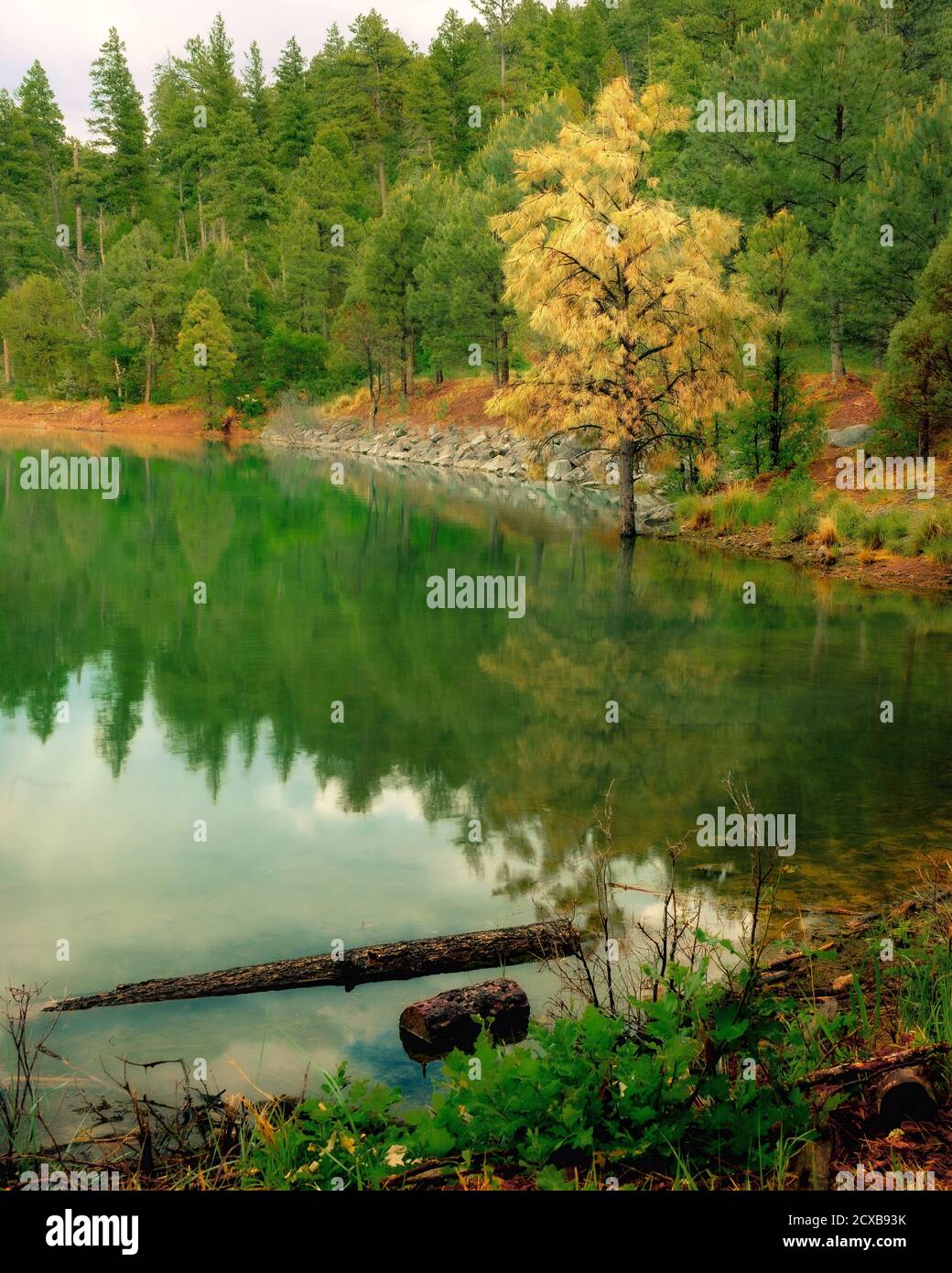 Ruidoso hi-res stock photography and images - Alamy