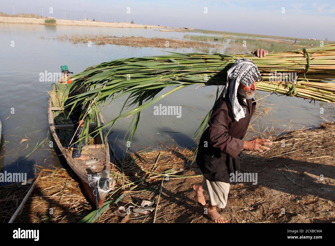 Drained marsh iraq hi-res stock photography and images - Alamy