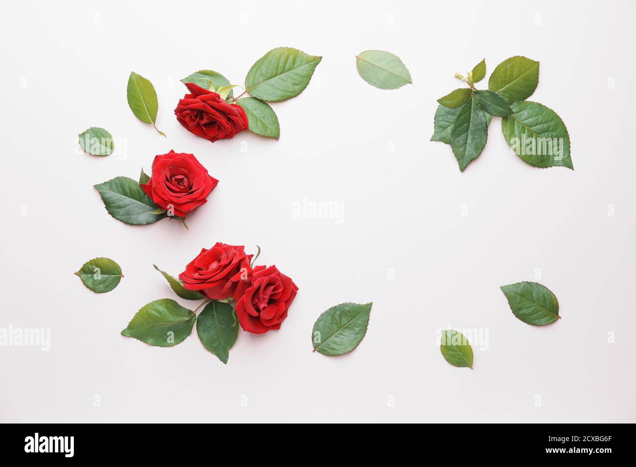 Frame made of beautiful red roses and leaves on light background Stock ...