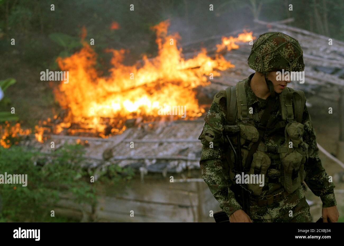 Colombian Cocaine Plantation High Resolution Stock Photography and ...
