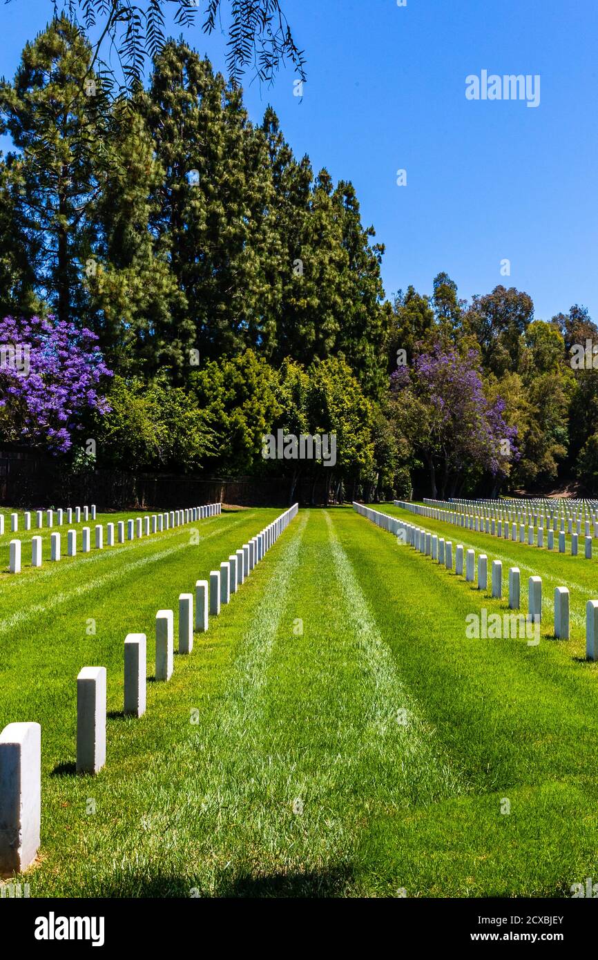 Purple Headstones High Resolution Stock Photography and Images - Alamy