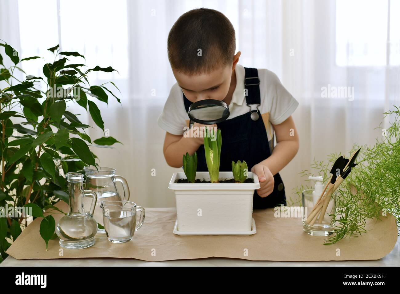 The boy raised the magnifying glass to his face and focused on the ...