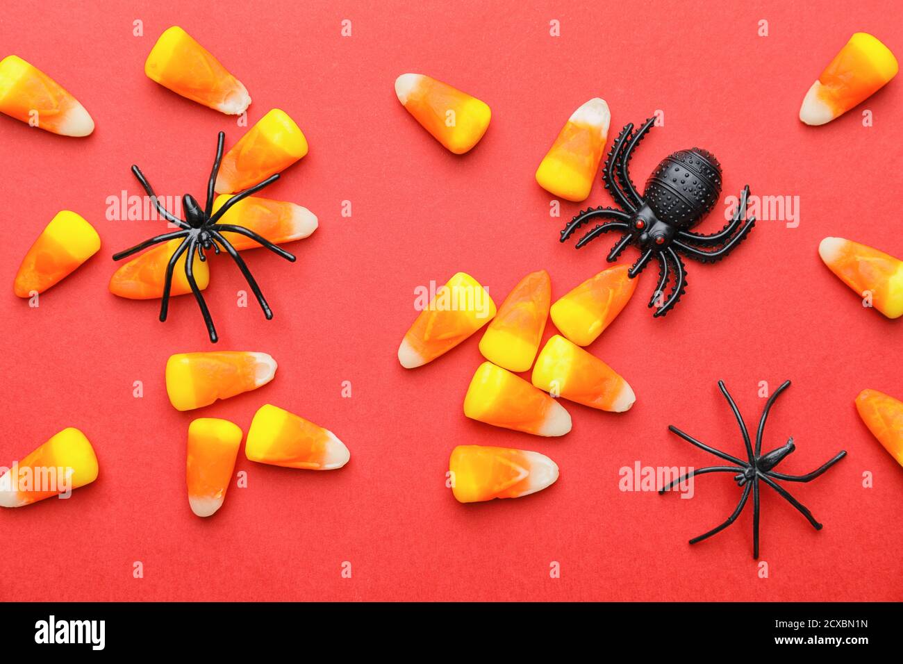 Spiders have teeth hi-res stock photography and images - Alamy