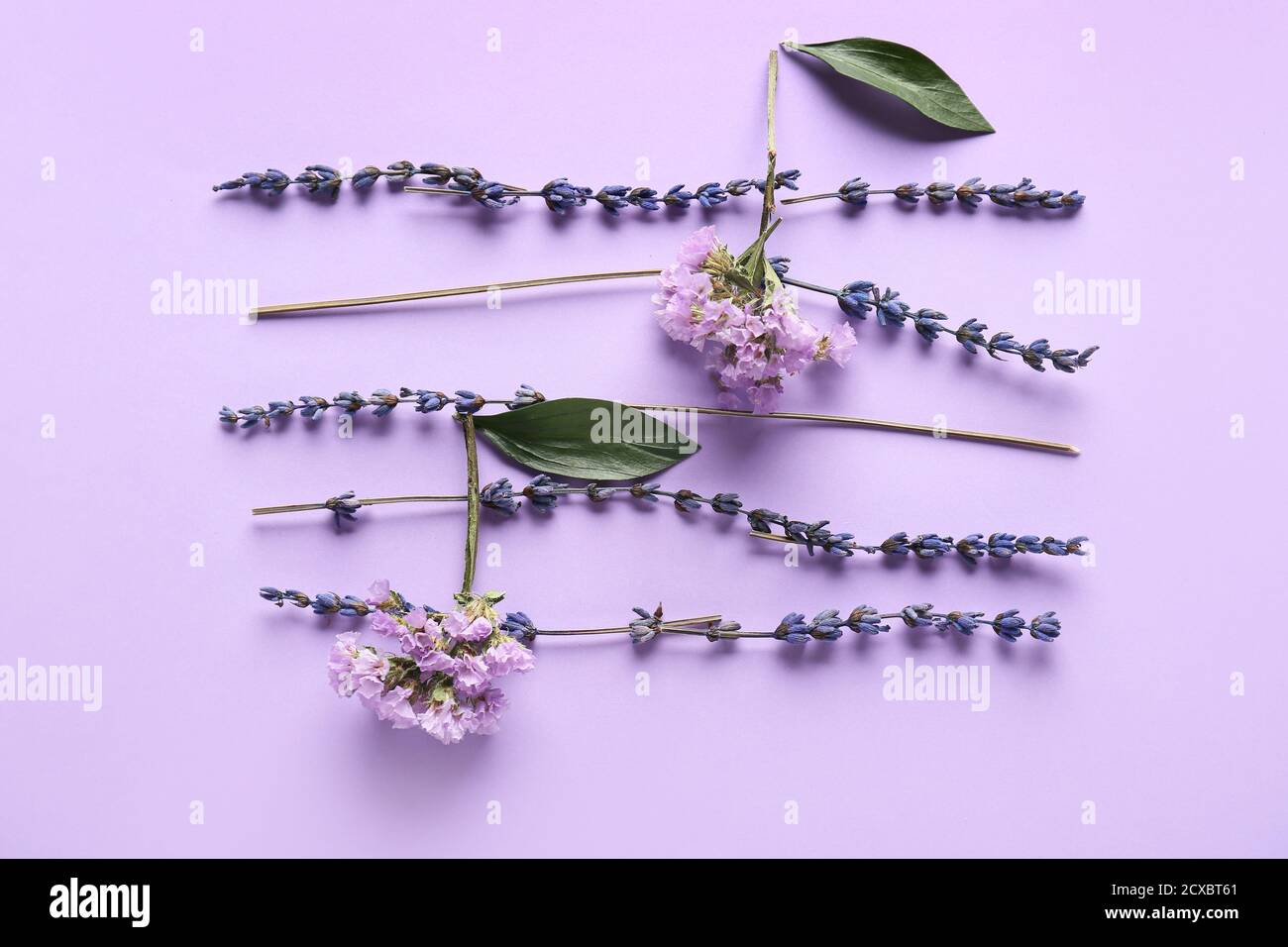 Music notes made of flowers on color background Stock Photo - Alamy