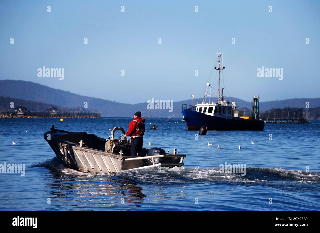 Salmon farming huon aquaculture hi-res stock photography and images - Alamy