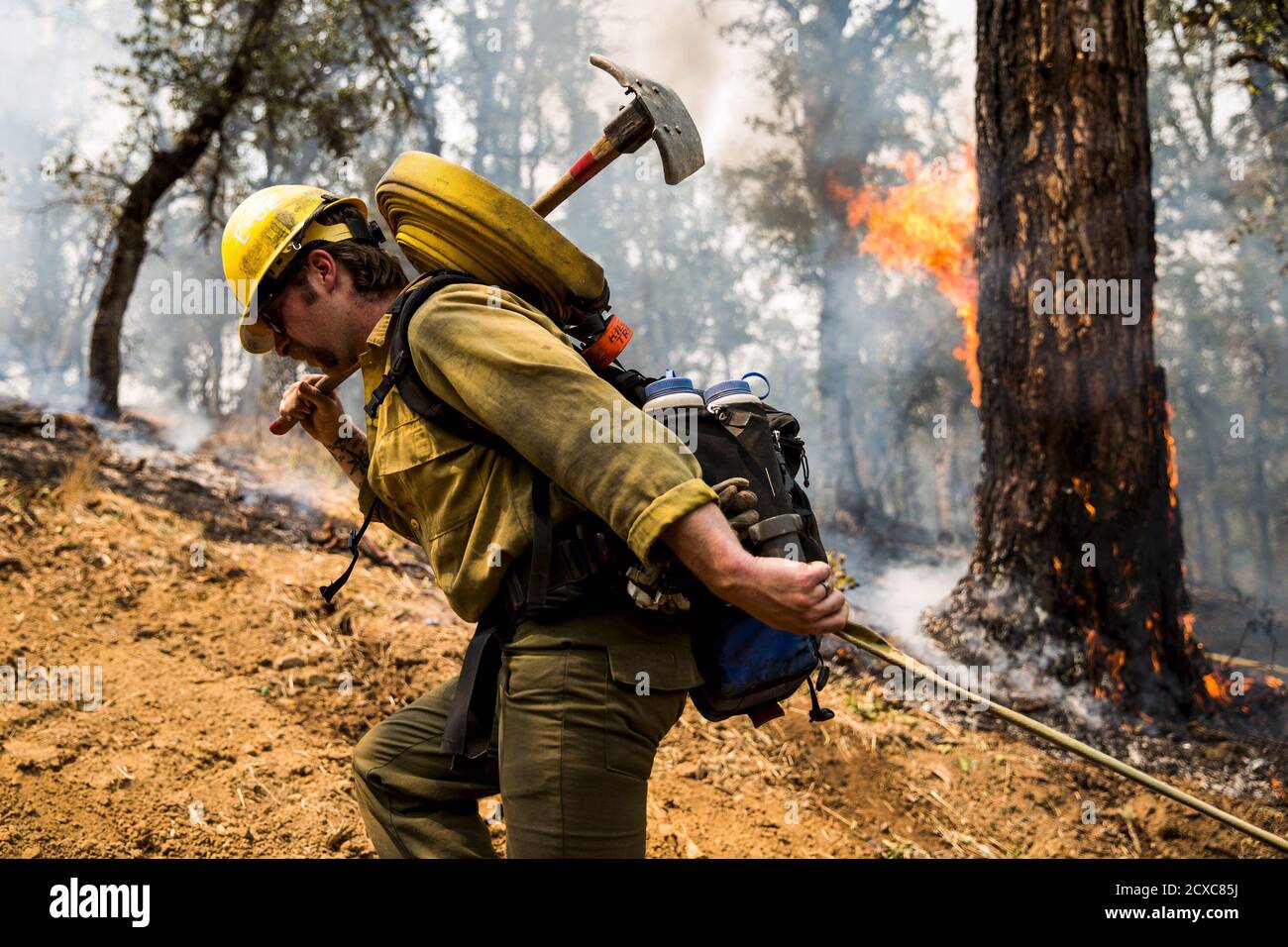 California department of fire and forest protection hi-res stock ...