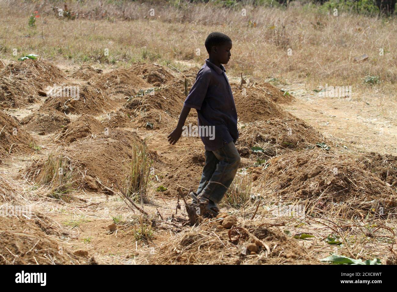 Boy in the grave hi-res stock photography and images - Alamy