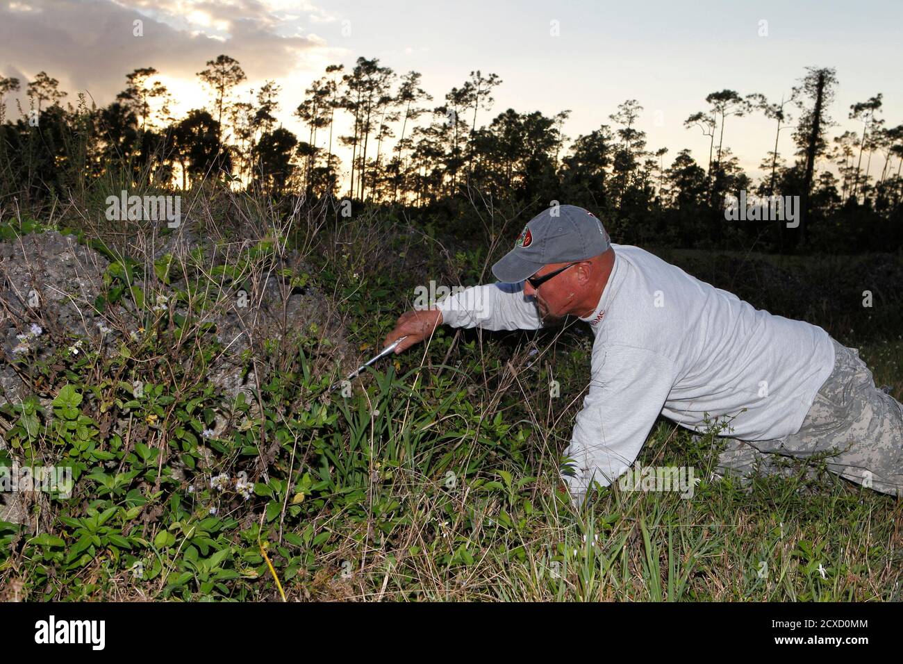 Florida snake hunt hi-res stock photography and images - Alamy