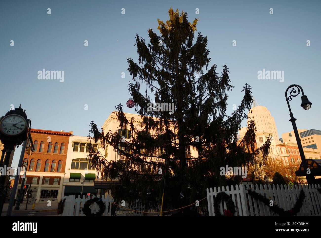 Pennsylvania pine tree hi-res stock photography and images - Alamy