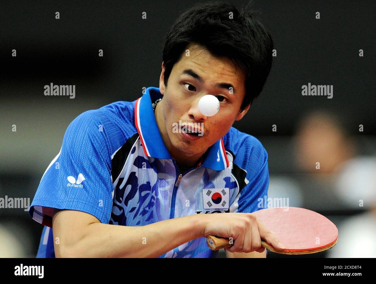 Robin Baum High Resolution Stock Photography and Images - Alamy