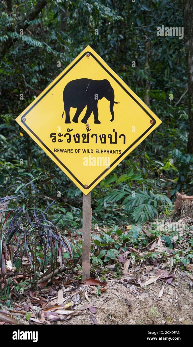 Beware of wild elephants sign Stock Photo - Alamy
