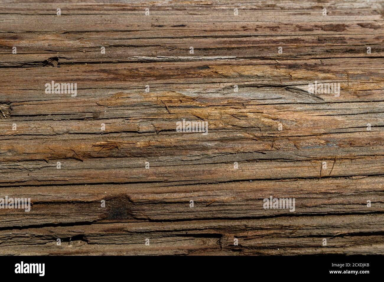 Log splinter hi-res stock photography and images - Alamy