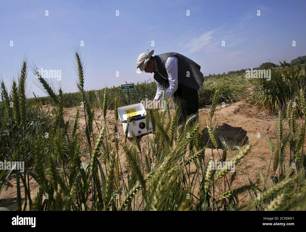 Indian farming technology hi-res stock photography and images - Alamy