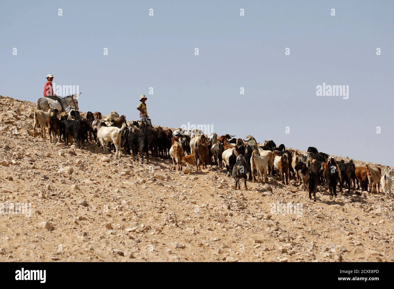Boy desert shepherd hi-res stock photography and images - Alamy