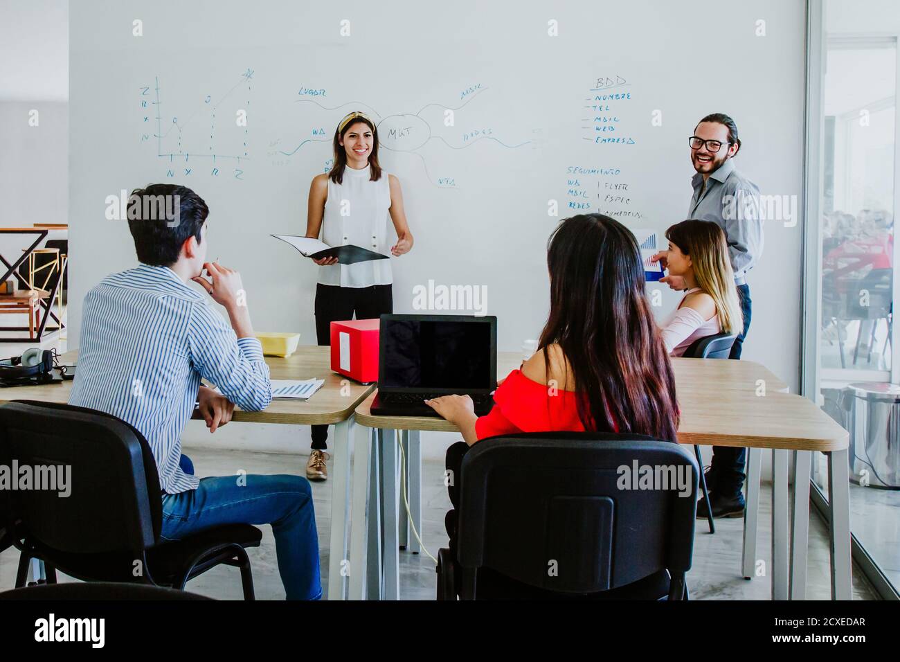 Hispanic business woman working on laptop in a modern office in Mexico ...