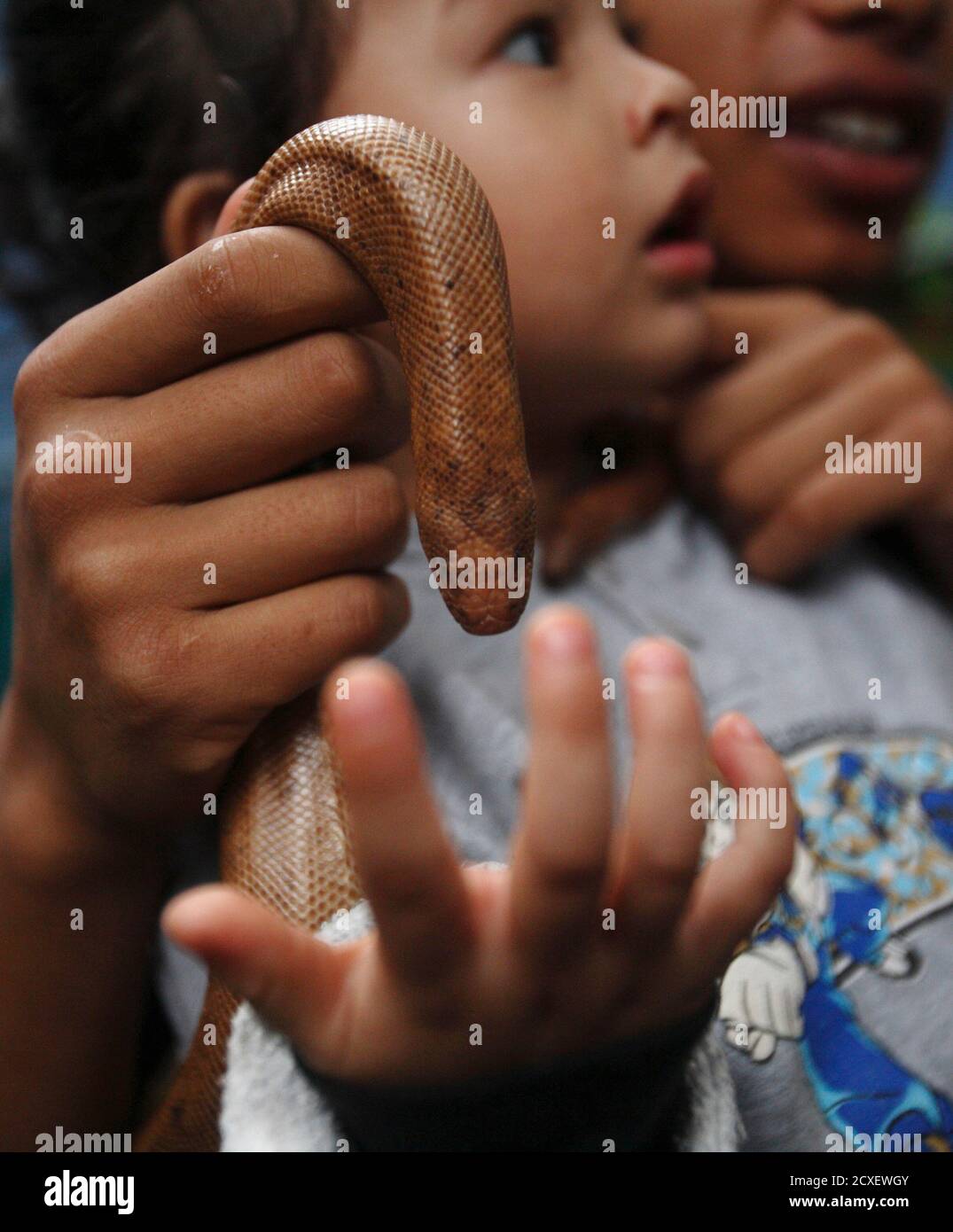 Nagpanchami festival of snake hi-res stock photography and images - Alamy