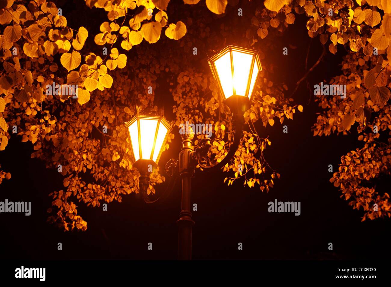 beautiful glowing street lamp in the park at night Stock Photo - Alamy