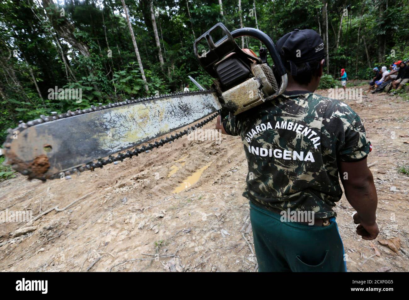 Brazilian indians logging hi-res stock photography and images - Alamy