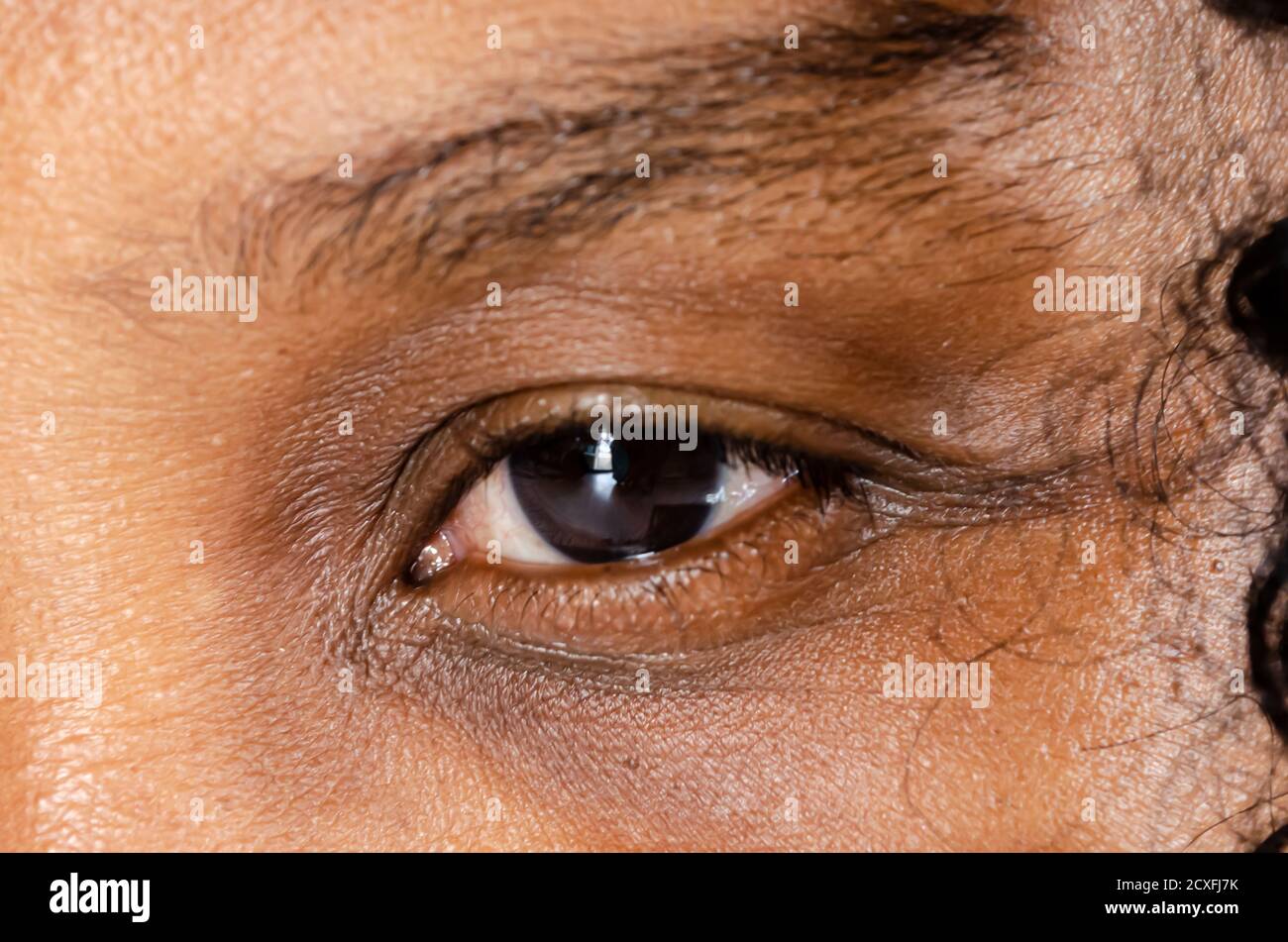 Relaxed Eye Of A Woman Stock Photo - Alamy