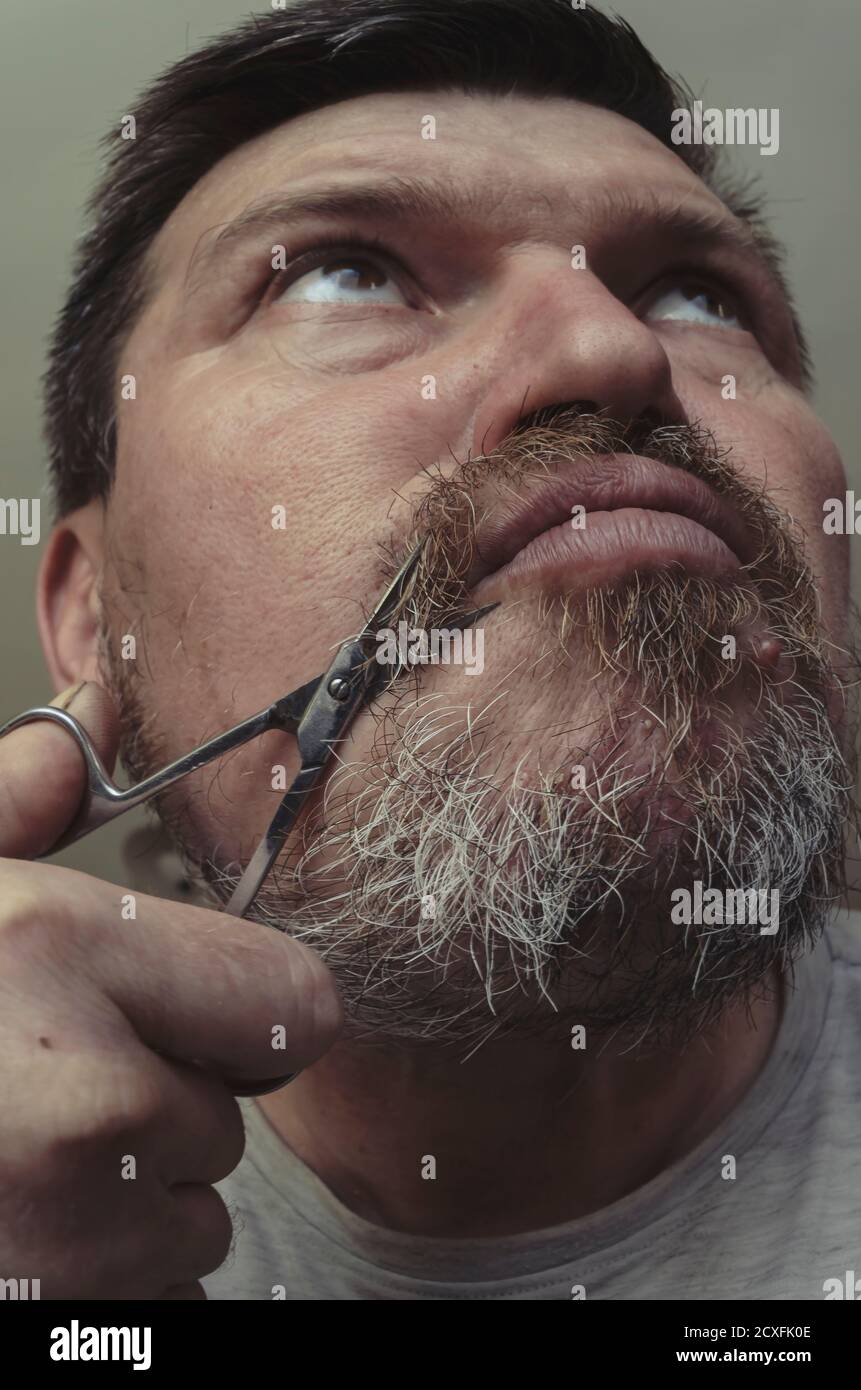An adult man cuts his own beard with small manicure scissors. Unusual ...