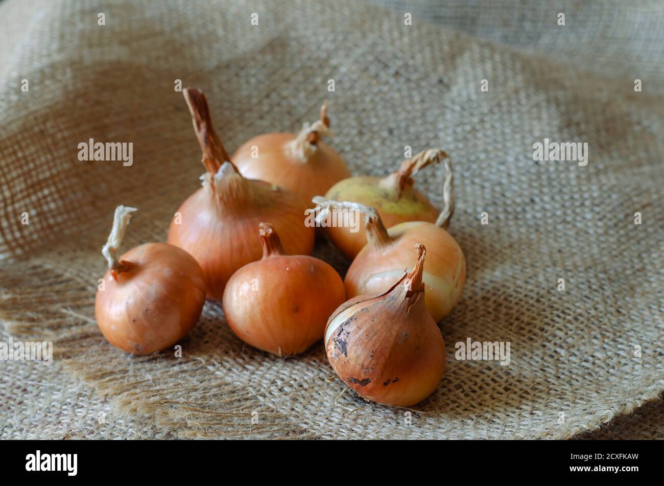 Real gold dust hi-res stock photography and images - Alamy