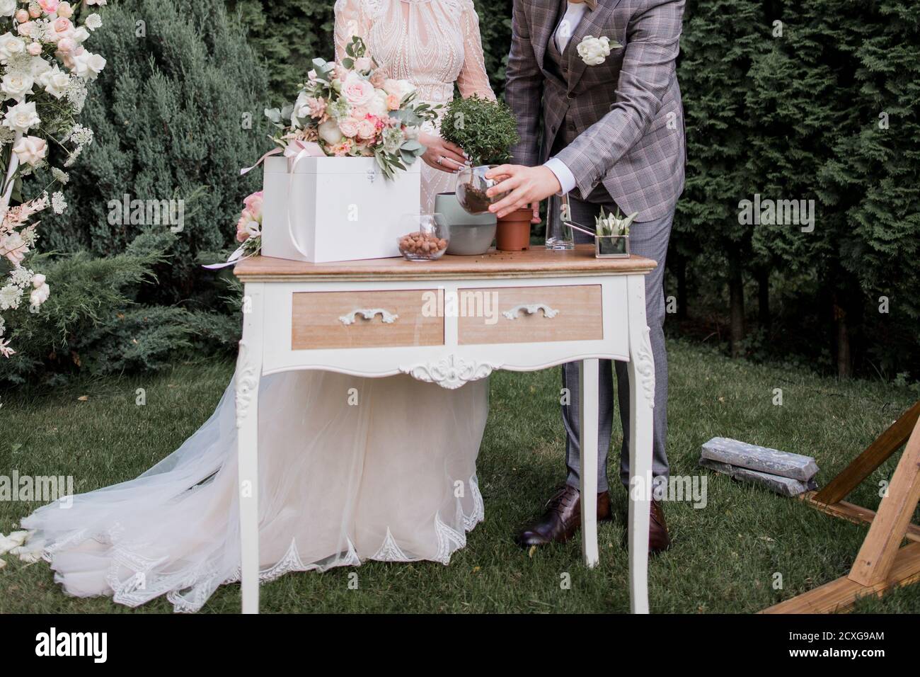 the groom and the bride plant a tree at ceremony Stock Photo - Alamy