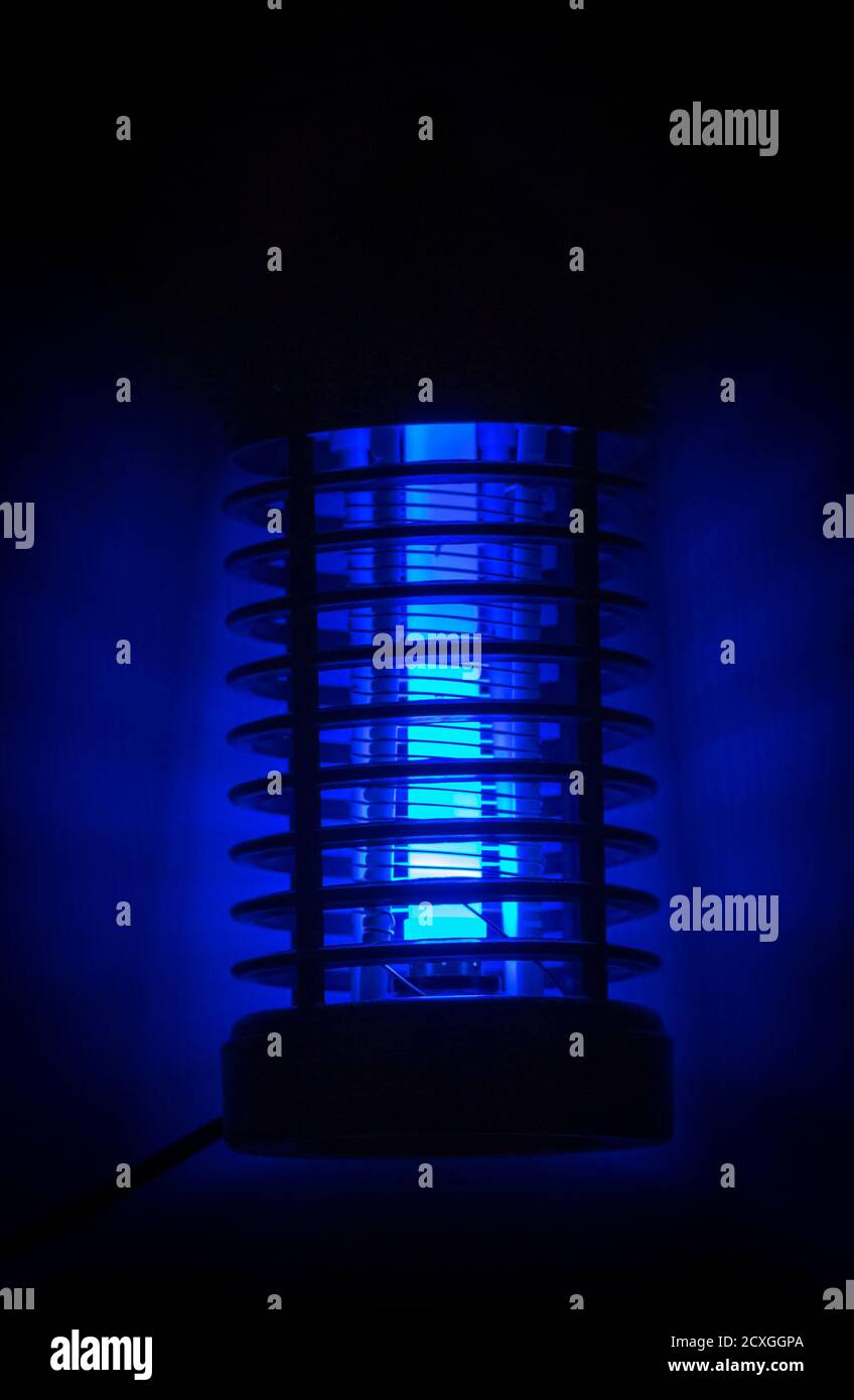 The blue light night light is an insect killer Stock Photo - Alamy